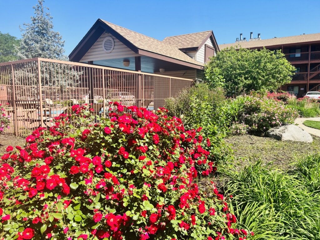 The Willows Archives - kabredlosapartments